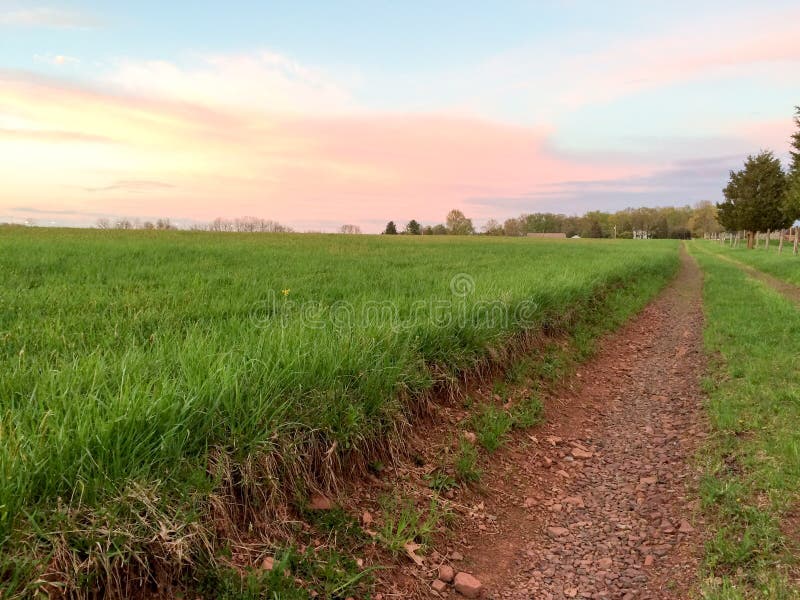 Sunset Over Green Grassy Field Dirt Path Stock Photos - Free & Royalty ...