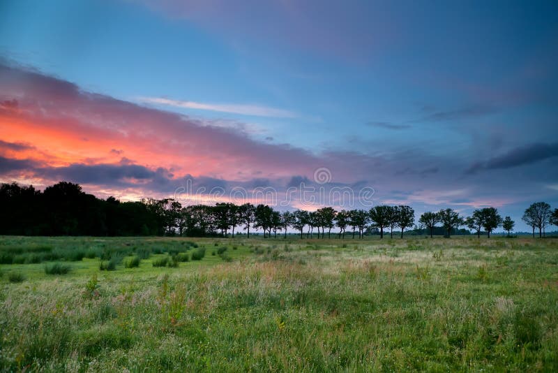 Sunset over green meadow stock photo. Image of season - 31934096