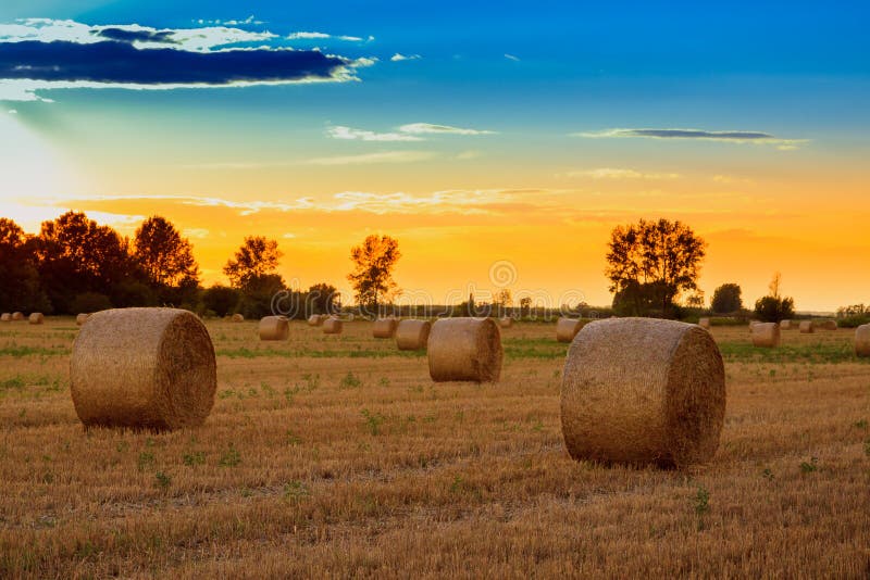 Sunset Over the Hay Bale Field Stock Image - Image of food ...