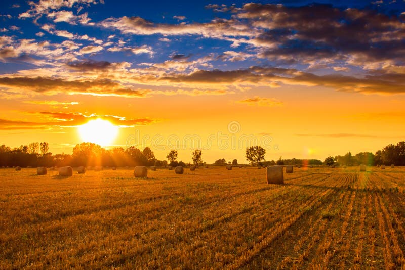 Sunset Over the Hay Bale Field Stock Photo - Image of leaf, bale: 29693394
