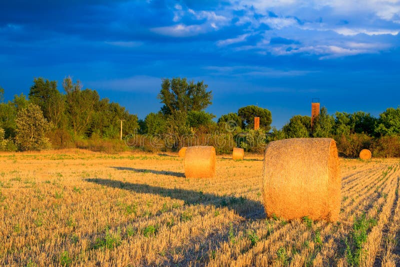 Sunset Over the Hay Bale Field Stock Image - Image of agricultural ...