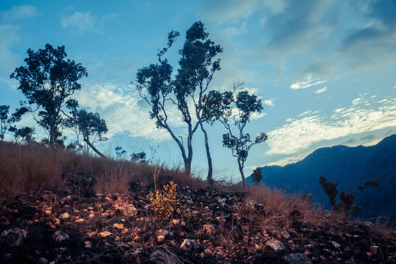 Sunset Over a Hill in a Tropical Climate Stock Image - Image of asia ...