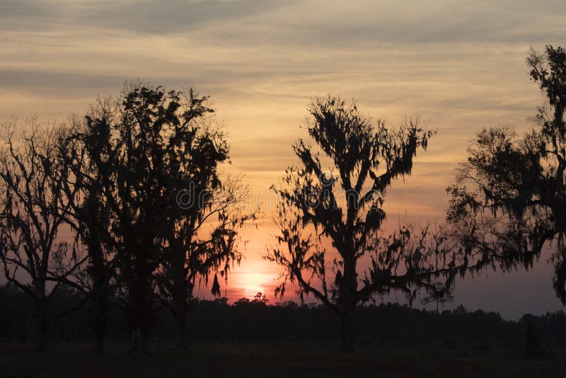 Homerville Stock Photos - Free & Royalty-Free Stock Photos from Dreamstime