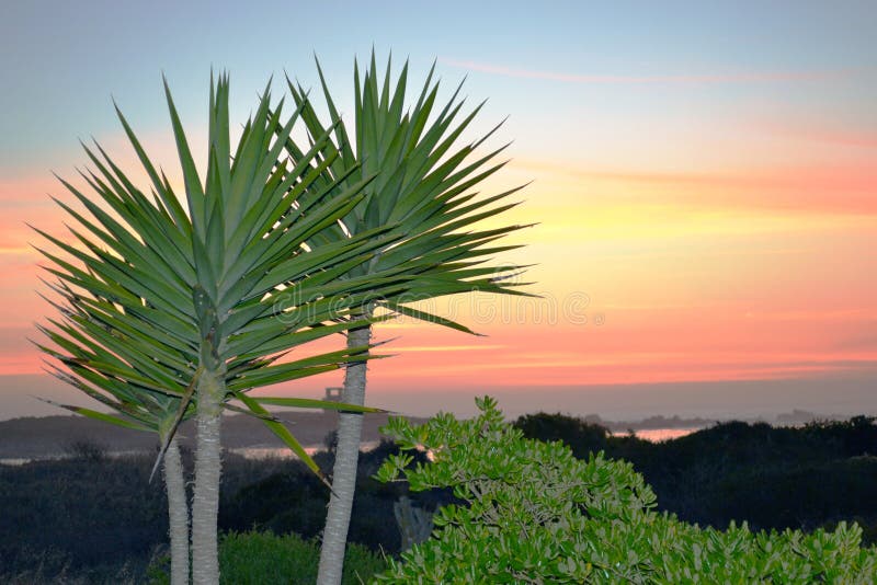 Sunset over Jacobs Bay stock photo. Image of coast, south - 39970646