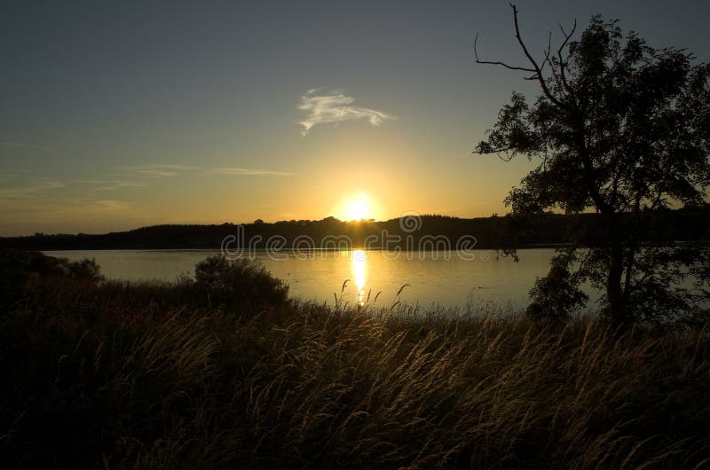 Sunset over lake stock photo. Image of sunset, reeds, forest - 1008506