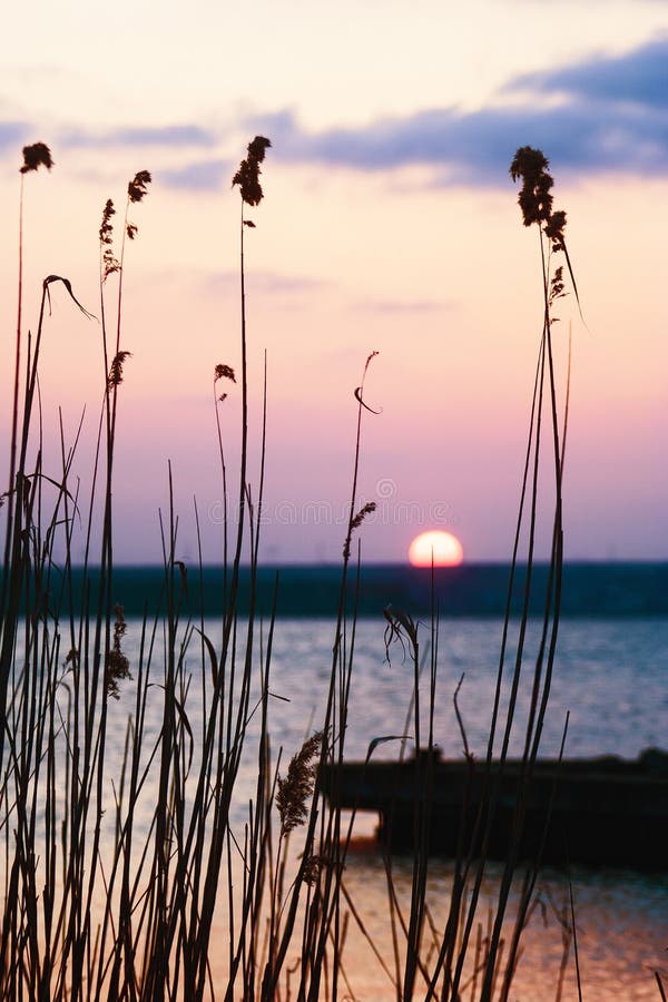 Sunset over lake stock image. Image of romance, river - 30825443