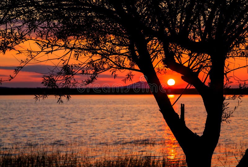 Sunset over a lake stock image. Image of ezero, evening - 49021623
