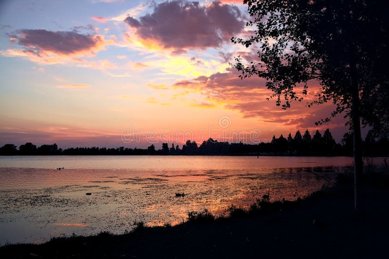 Sunset Over a Lake in Summer with Silhouette of the Shores Stock Image ...