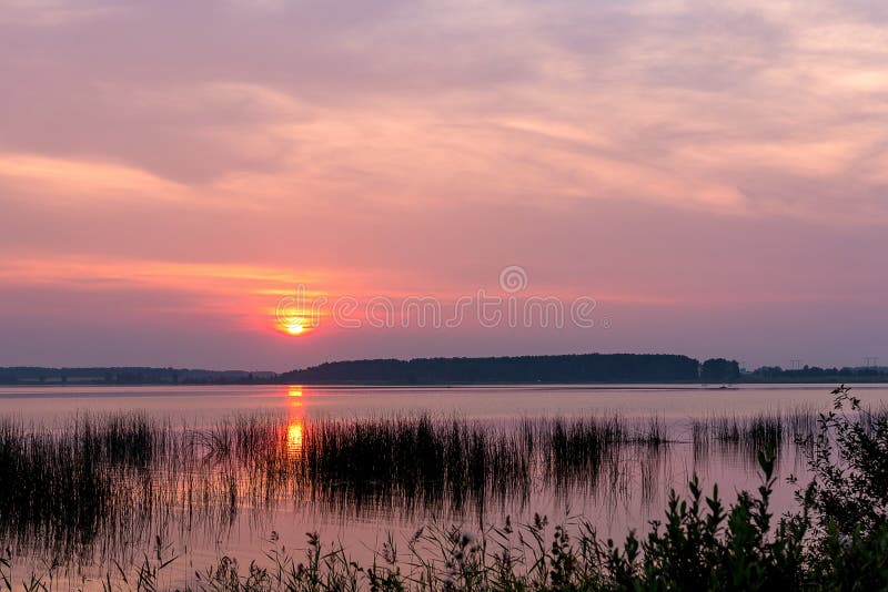 Sunset Over the Lake in Summer Stock Image - Image of cloud, dawn ...