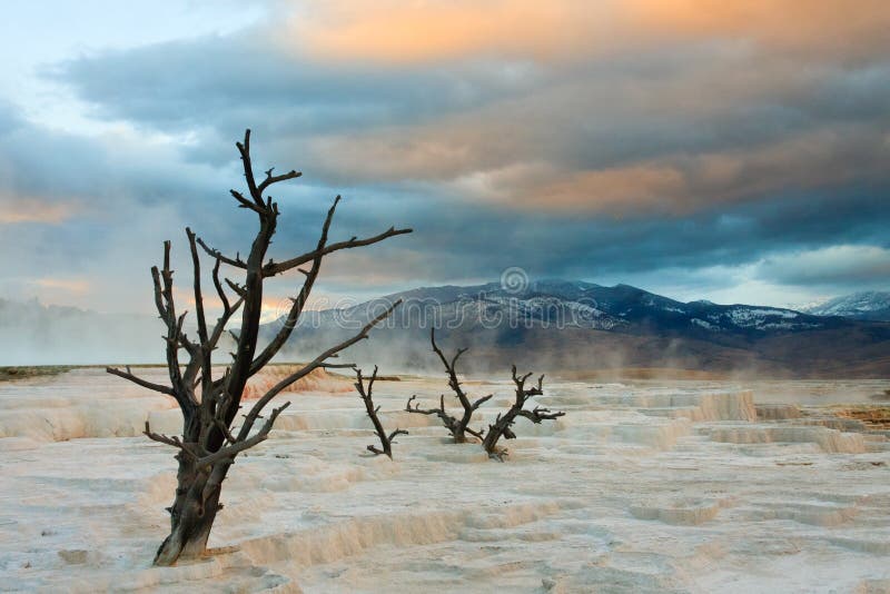 Sunset Over Mammoth Hot Springs Stock Image - Image of iconic, heated ...