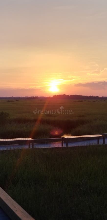 Sunset over the marsh stock photo. Image of darkness - 191125326