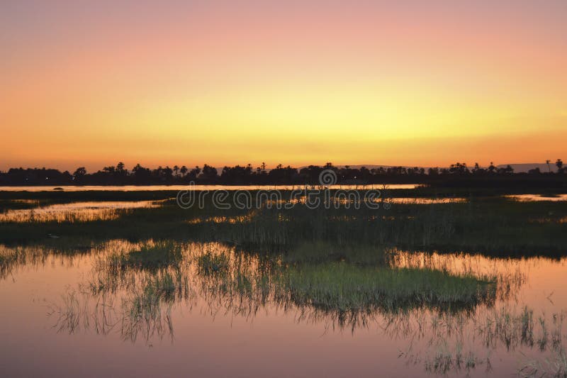 Sunset over marsh land stock image. Image of nile, purple - 20771655