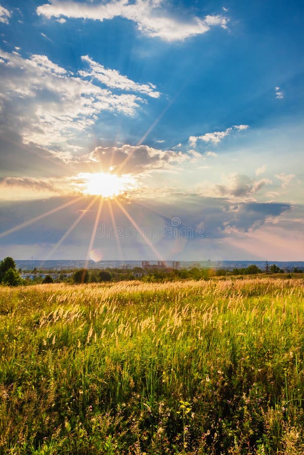 Meadow, Evening Sky and Sunset Stock Photo - Image of color, foliage ...
