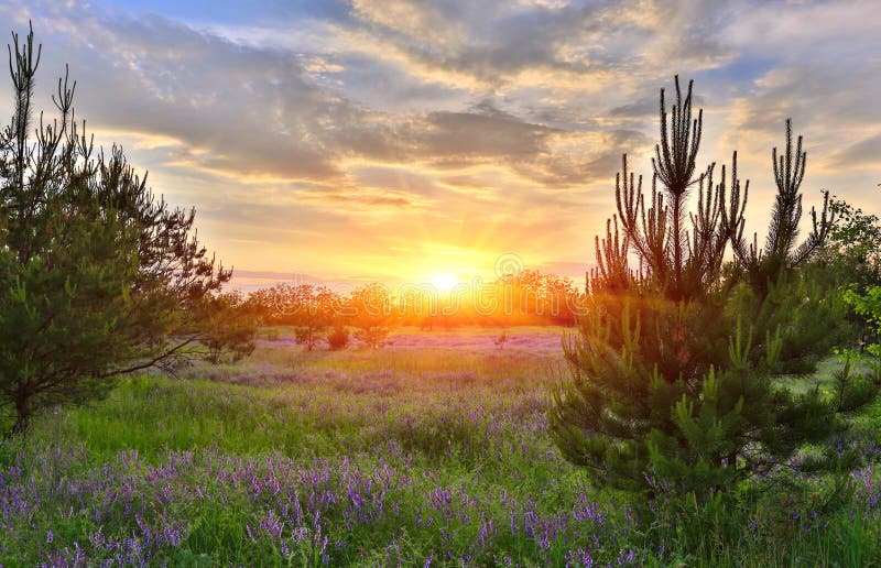 Sunset over meadow stock photo. Image of blue, outdoor - 38235916