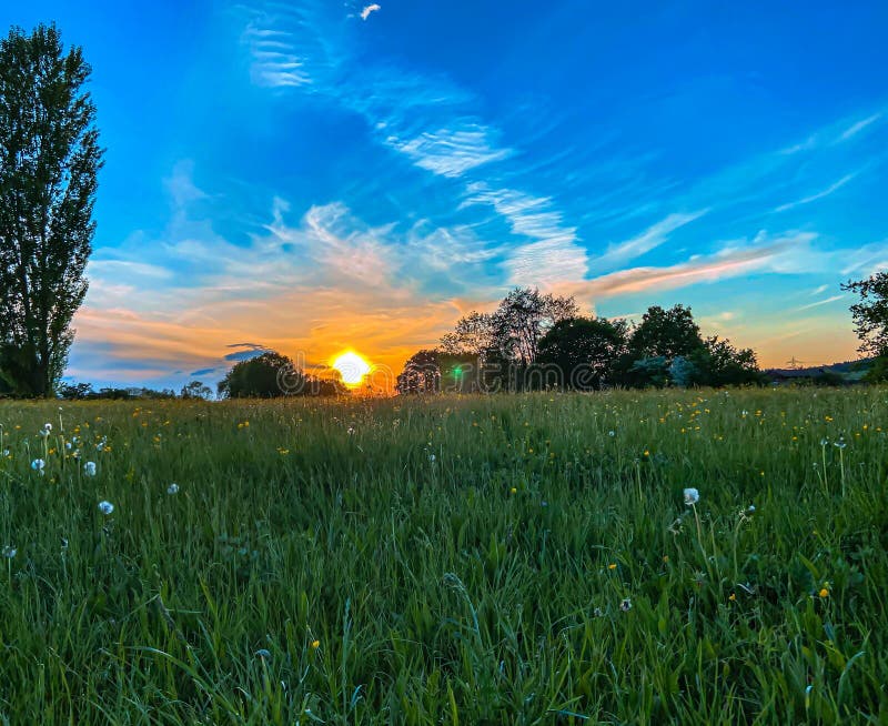 Sunset over a meadow stock photo. Image of farmland - 181200194