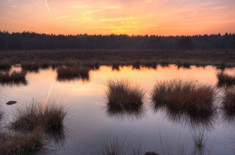 Sunset over a moor stock photo. Image of purple, puddle - 24175842