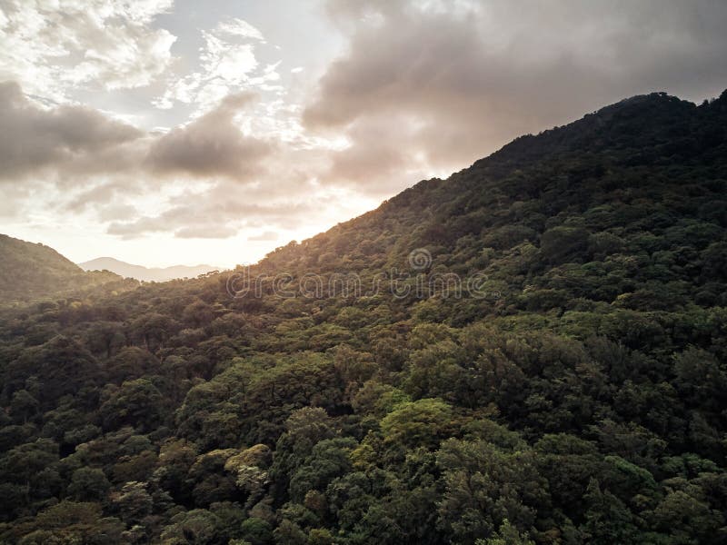 Mountain jungle stock photo. Image of landscape, forest - 13679184