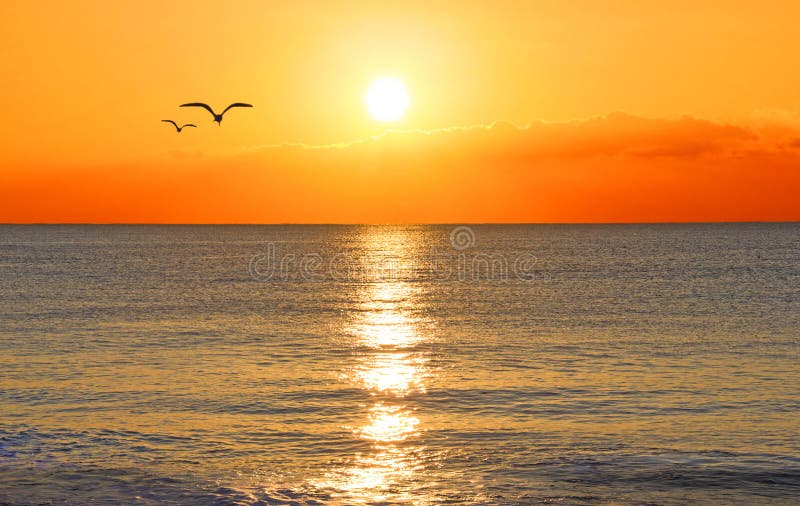 Sunset over an ocean stock photo. Image of light, ocean - 29052752