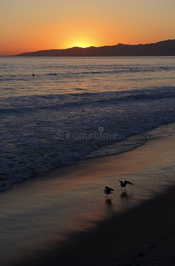 Sunset Over the Ocean on the Beach Stock Photo - Image of beach, sunset ...