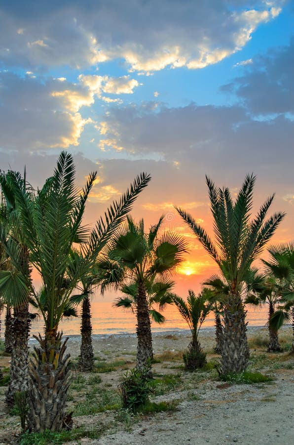 Sunset over palm beach stock photo. Image of outdoor - 29343816