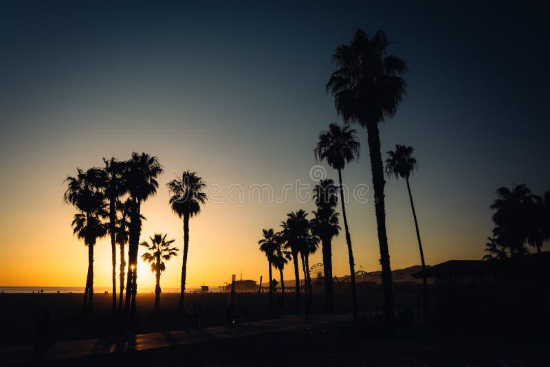 Sunset Over Palm Trees in Santa Monica Stock Image - Image of city ...