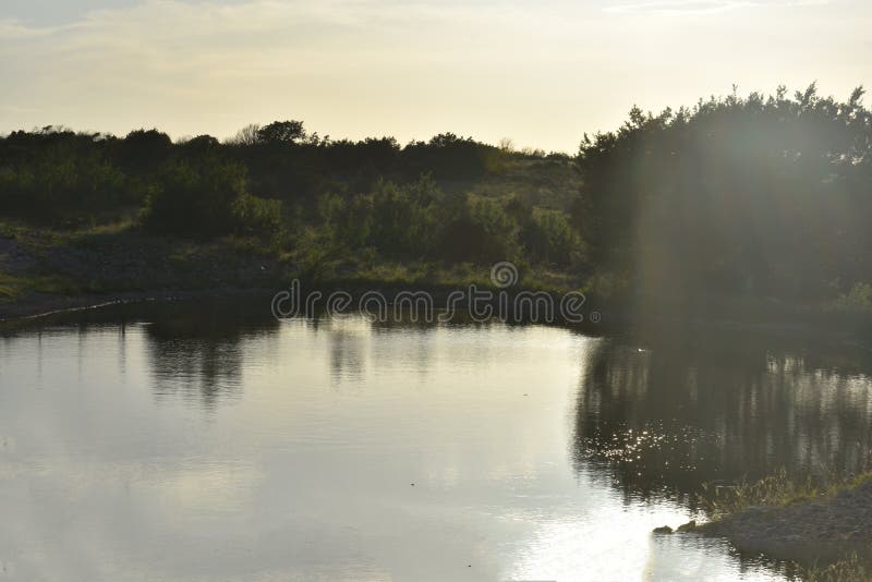 Sunset over a pond stock image. Image of bright, river - 98189103