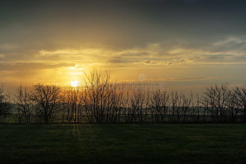 Sunset Over Pure Nature Fields with Trees on the Side Stock Image ...
