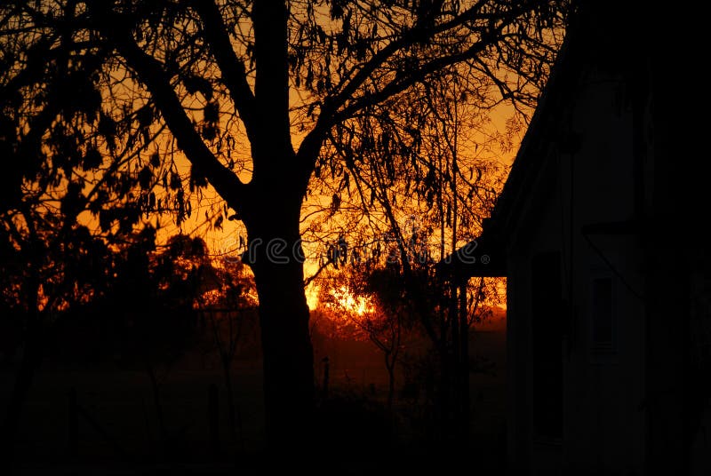 Sunset over a Ranch stock photo. Image of leaves, silhouette - 53329906