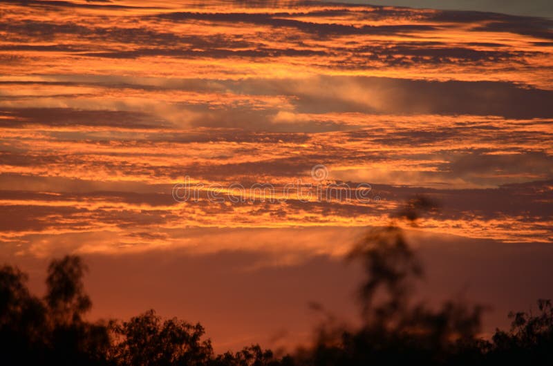 Sunset on the Ranch stock photo. Image of background - 89038434