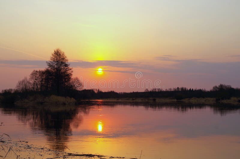 Sunset over river stock photo. Image of forest, yellow - 42980164