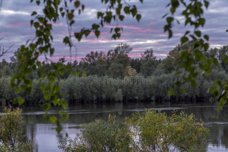 Sunset Over the River Overgrown with Dense Shrubs Stock Photo - Image ...