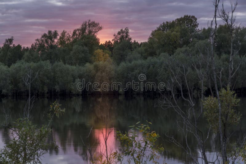 Sunset Over the River Overgrown with Dense Shrubs Stock Photo - Image ...