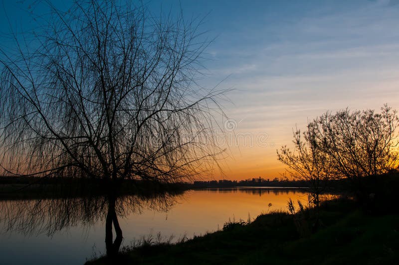 Sunset Over the River and Trees Stock Photo - Image of evening ...