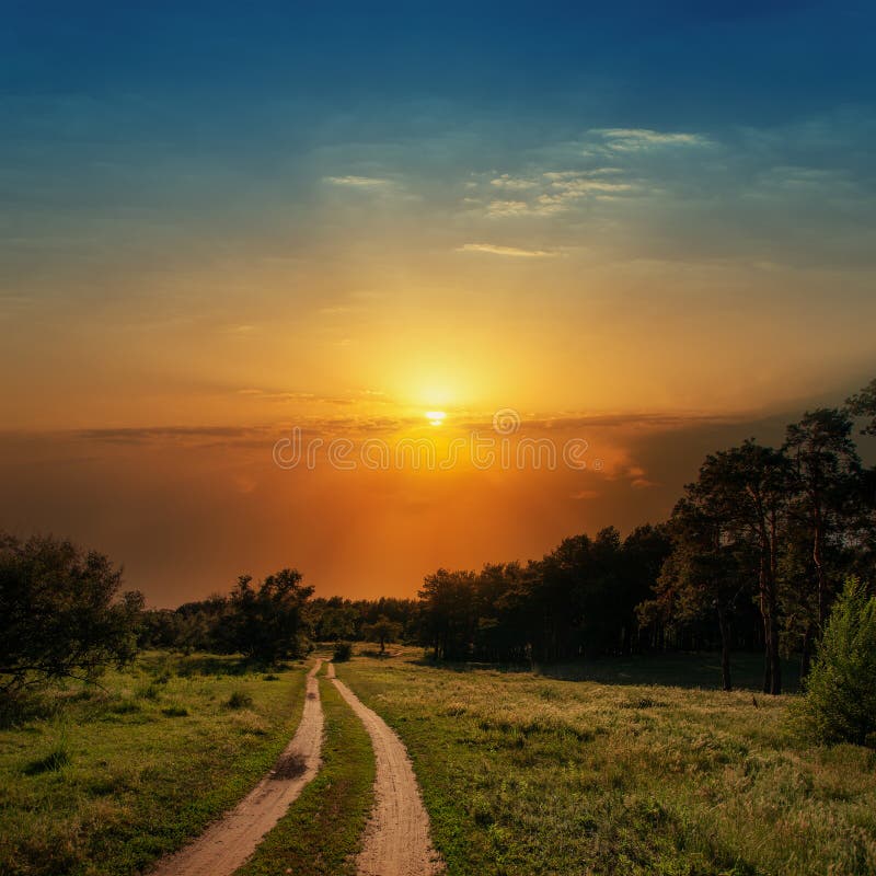 Sunset over road in wood stock image. Image of direction - 27888041