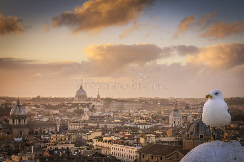 Sunset over Rome stock image. Image of church, rome, bird - 35231695