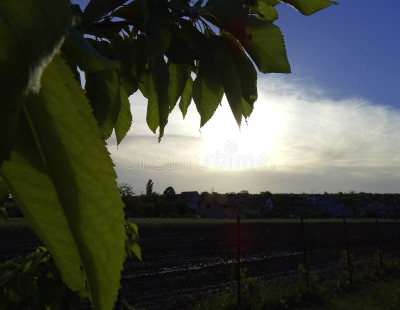 Sunset Over the Rural Landscape. Diffuse Sunlight Behind the Clouds ...