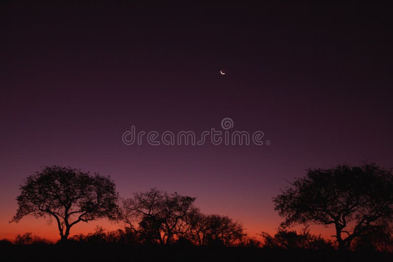 Sunset over Sabi stock image. Image of kruger, sunset - 3323983