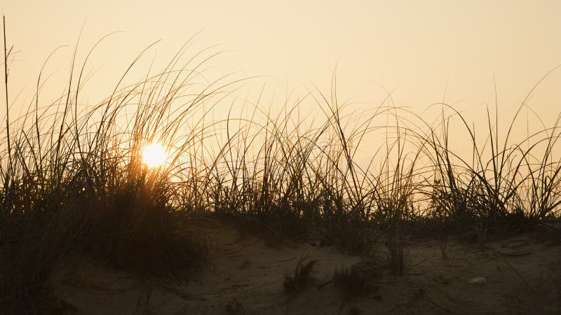 Sunset over sand dune. stock image. Image of copy, north - 2038215