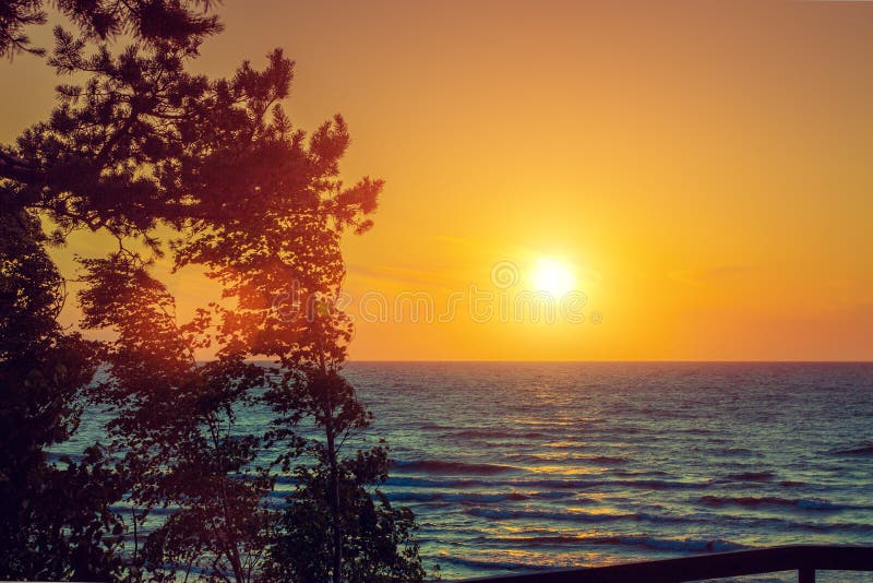 Sunset over sea stock image. Image of forest, esti, ocean - 63170349