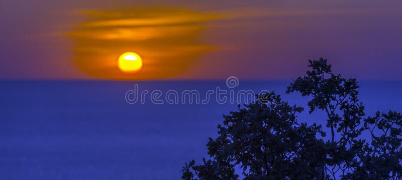 Sunset Over the Sea Behind the Branches of Trees Stock Photo - Image of ...