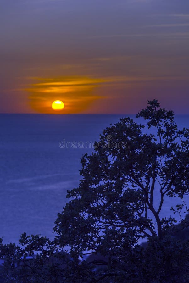 Sunset Over the Sea Behind the Branches of Trees Stock Photo - Image of ...