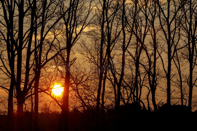 Sunset over tree stock photo. Image of majestic, orange - 111239620