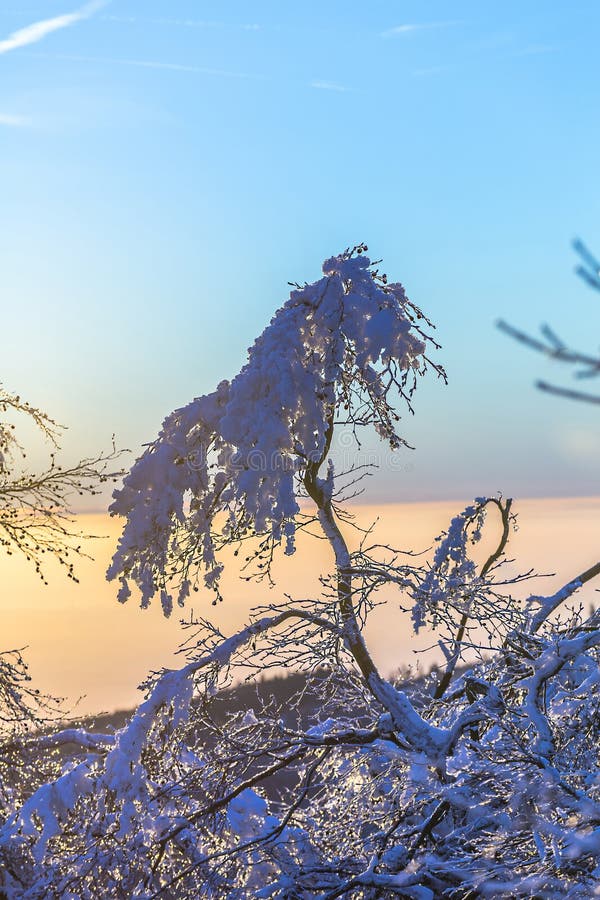 Sunset Over Snow-covered Forest Stock Image - Image of nature ...