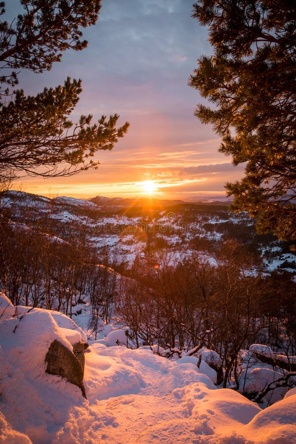 Sunset Over Snow Covered Landscape with Trees Stock Photo - Image of ...