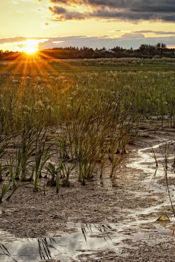 Sunset over Swamp stock image. Image of clouds, dawn - 23037957