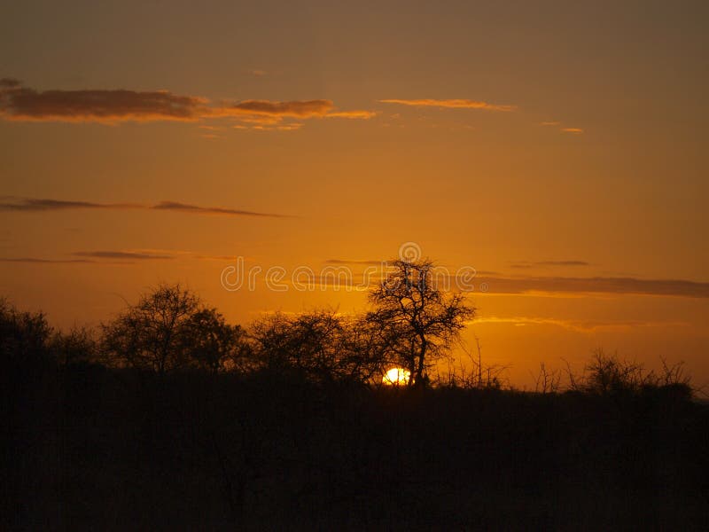 Botswana Sunset stock photo. Image of sunset, dramatic - 29956600
