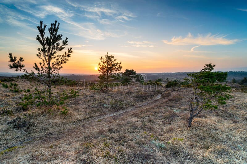 Sunset Over a Track Running through Winfrith Heath Stock Image - Image ...