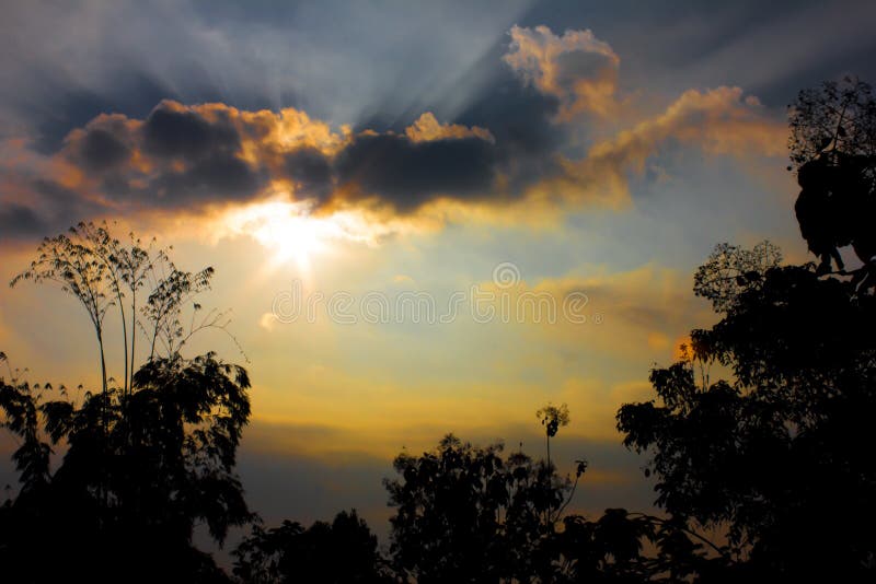 Sunset over tree stock image. Image of illuminated, reed - 32610519