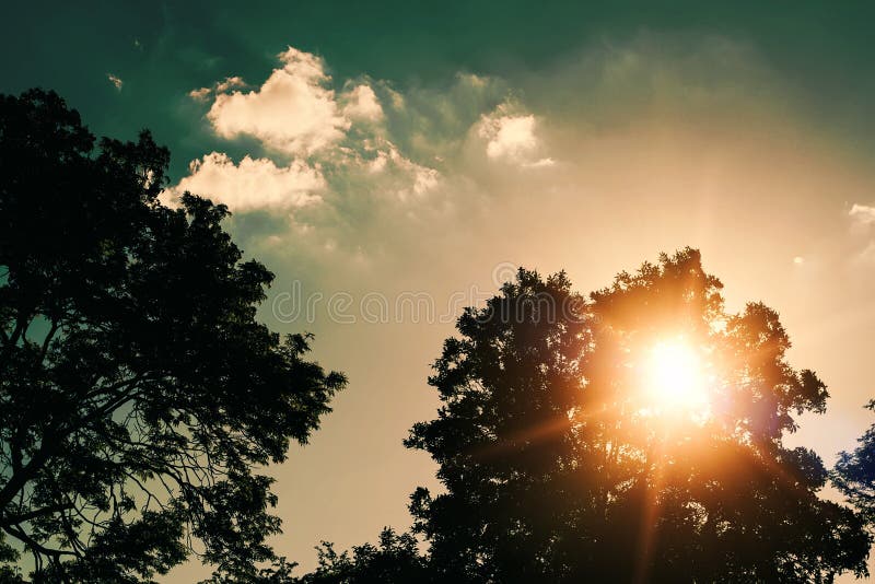 Sunset Over Tree with Sky and Clouds Stock Image - Image of tree ...