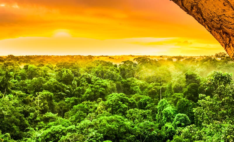 Sunset Over the Trees of the Rain Forest in Brazil Stock Image - Image ...